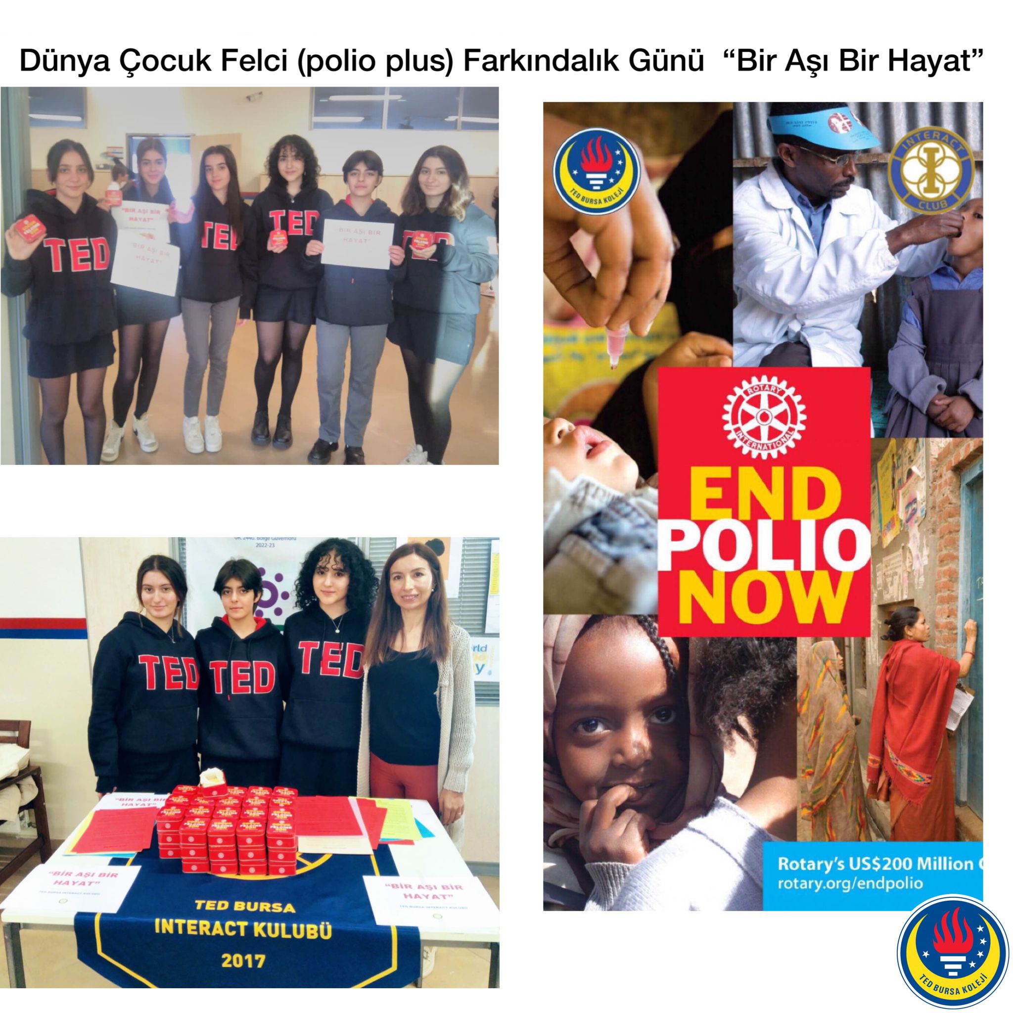 TED Bursa Koleji