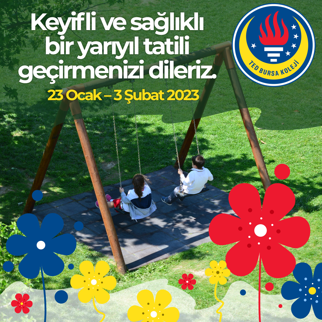 TED Bursa Koleji