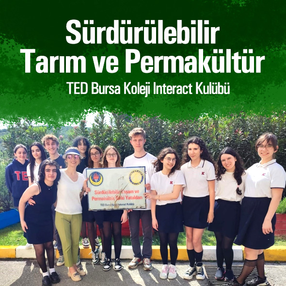 TED Bursa Koleji